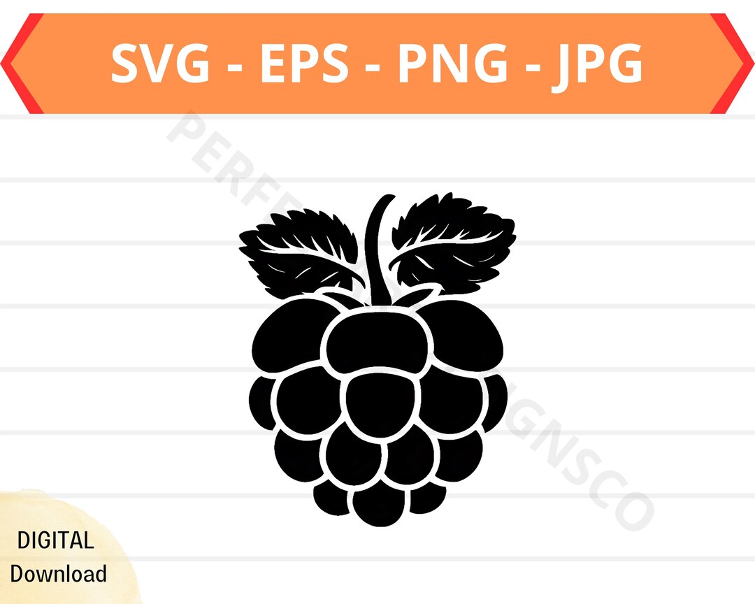 Raspberry Outline Svg, Raspberry Fruit Clipart, Raspberry Svg for Shirt ...