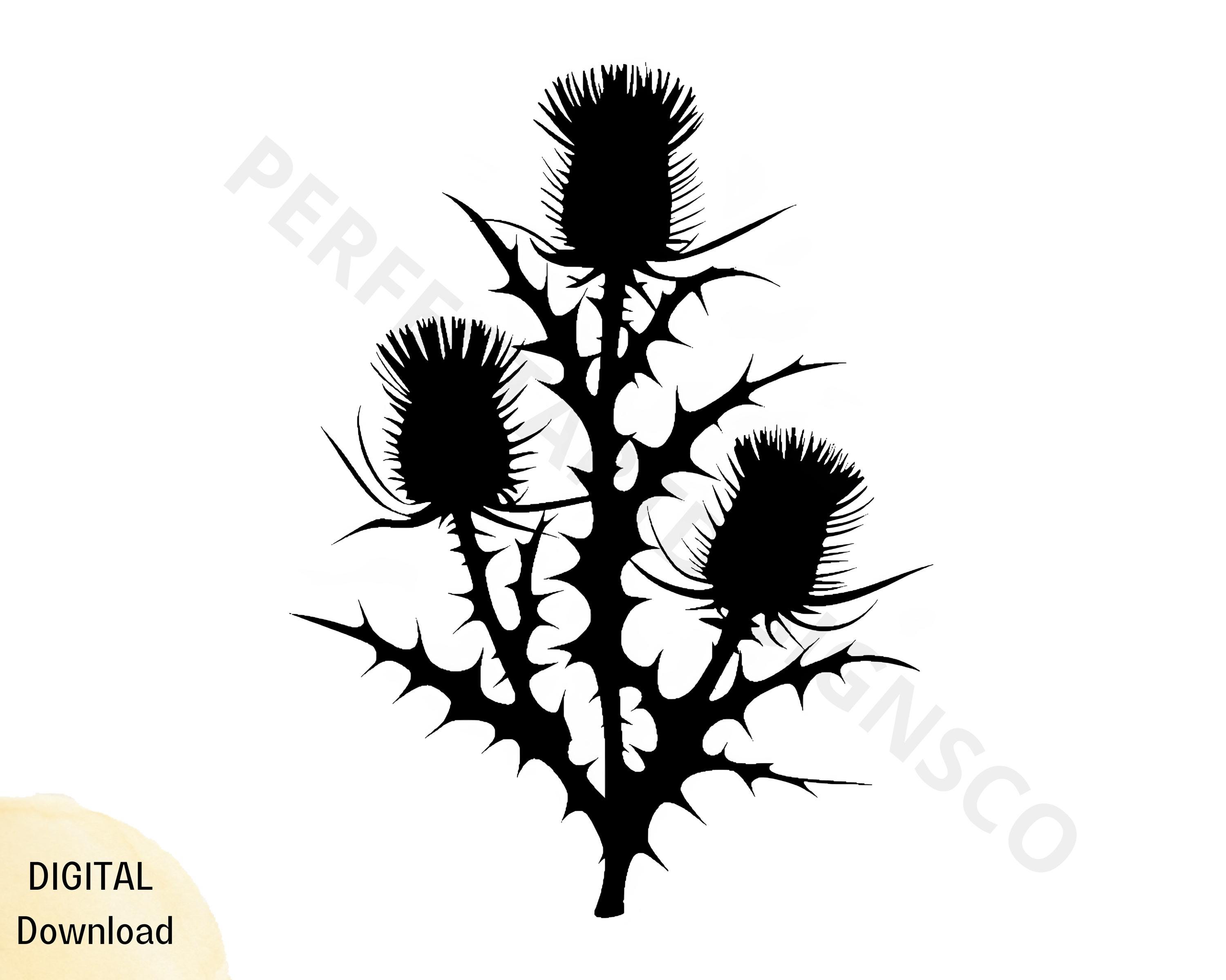 Thistle Silhouette Svg, Thistle Outline, Thistle Cricut, Thistle ...