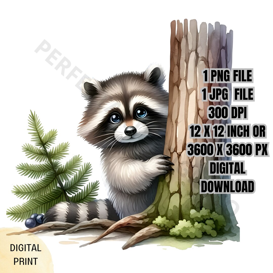 Cute Raccoon Peeking Out Watercolor Clipart Png Image Raccoon ...