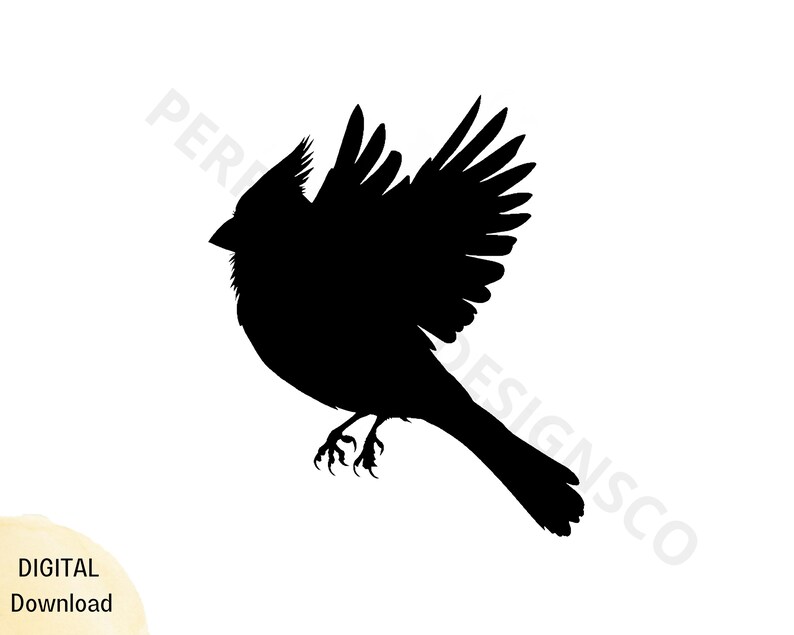 Flying Cardinal Silhouette Svg, Flying Cardinal Clipart, Flying ...