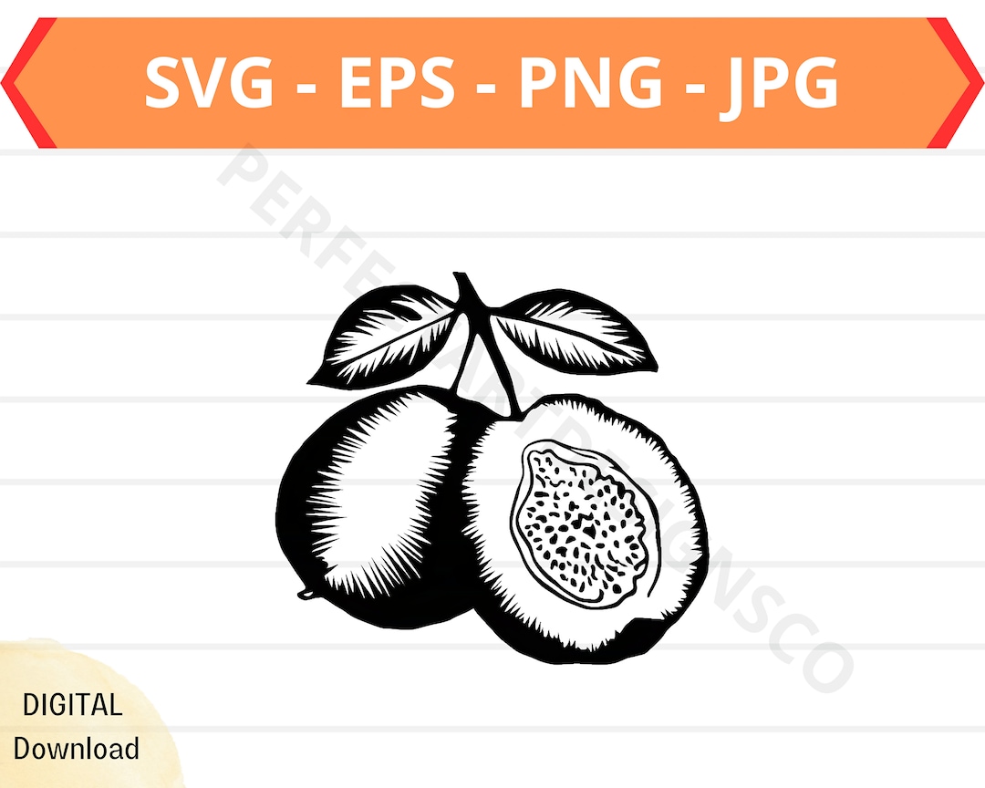 Guava Outline Svg, Guava Fruit Clipart, Guava Svg for Shirt, Svg File ...
