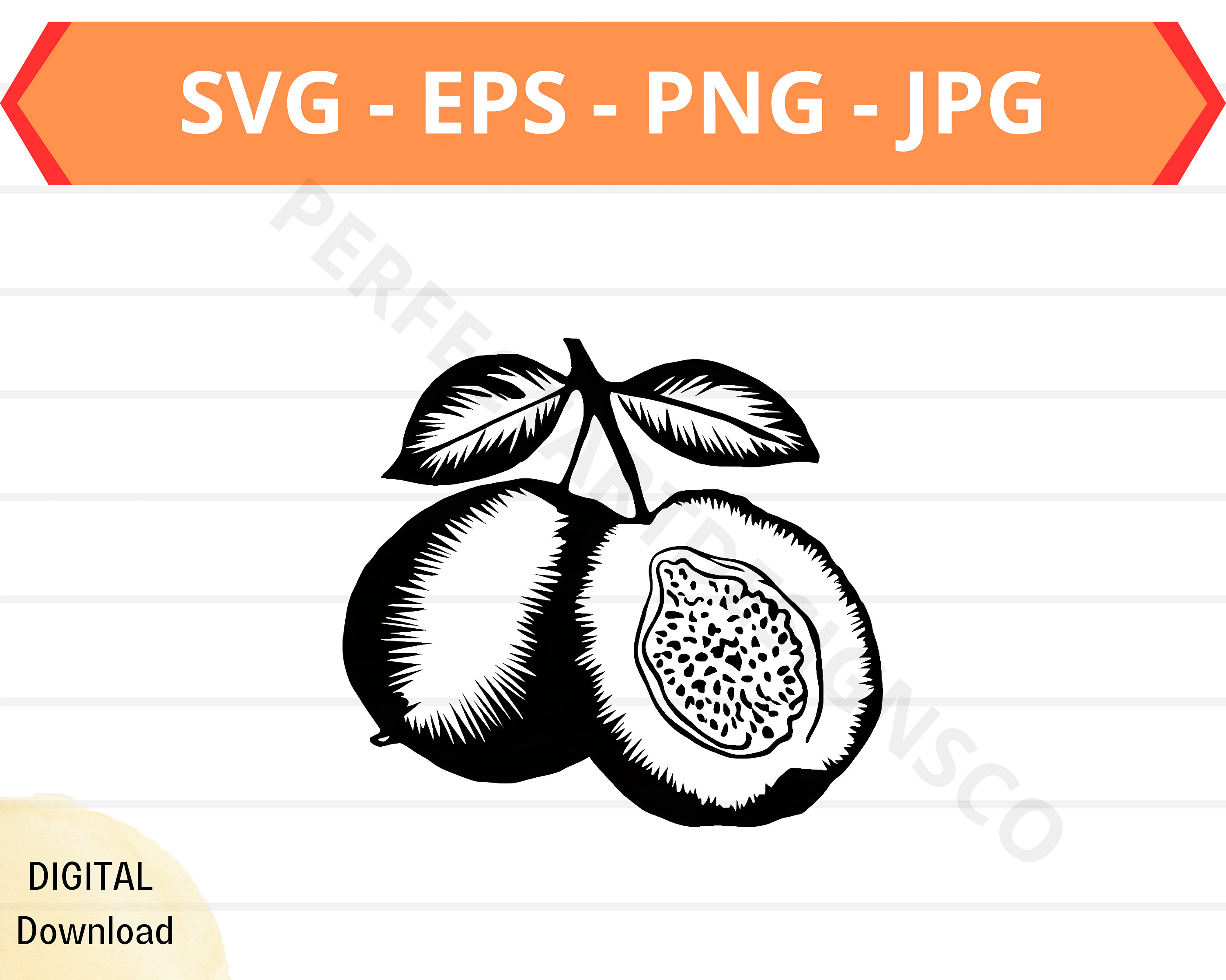 Guava Outline Svg, Guava Fruit Clipart, Guava Svg for Shirt, Svg File ...