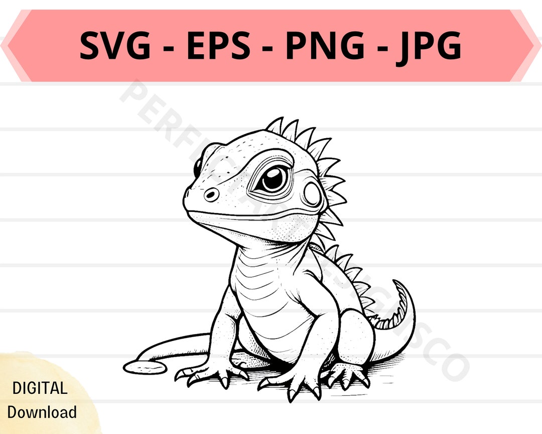 Cute Iguana Svg File, Baby Iguana Outline Svg, Iguana Clipart Svg ...