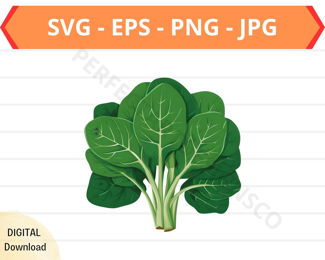 Spinach Svg, Spinach Vegetable Clipart, Spinach Svg Shirt, Svg File for ...
