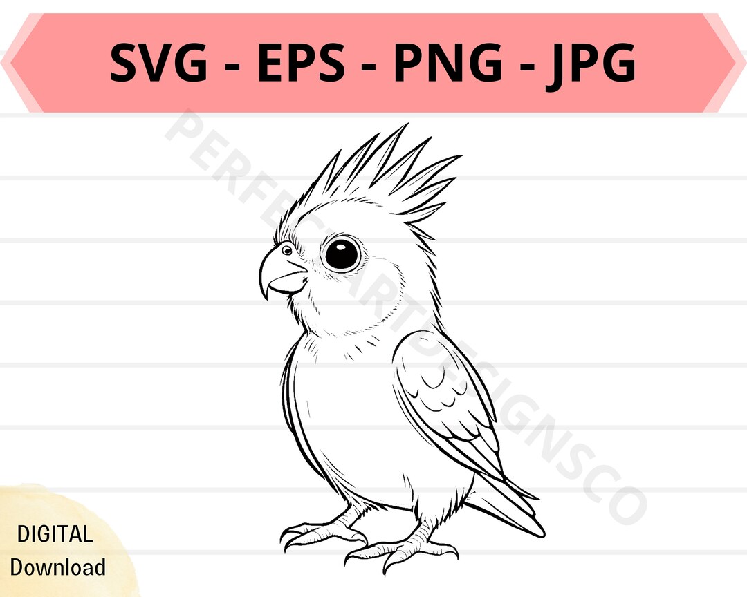 Cute Cockatiel Svg File, Baby Cockatiel Outline Svg, Cockatiel Clipart ...