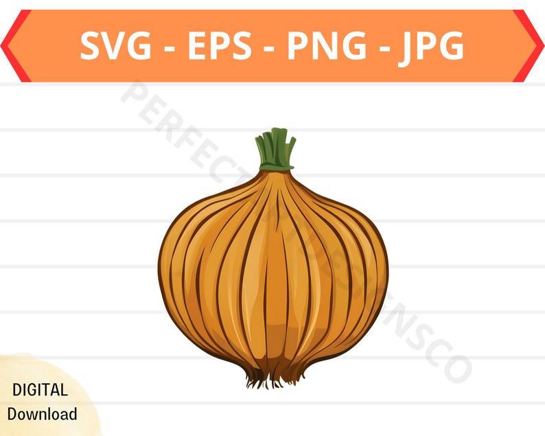 Onion Svg, Onion Vegetable Clipart, Onion Svg for Shirt, Svg File for ...