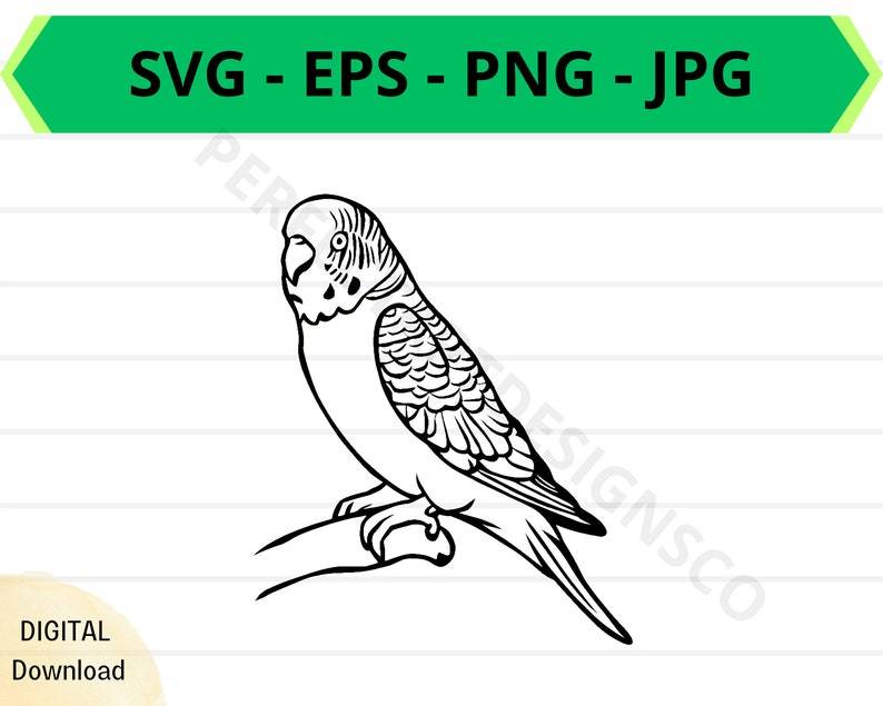 Parakeet Outline Svg, Parakeet Clipart, Parakeet Svg for Shirt, Svg ...