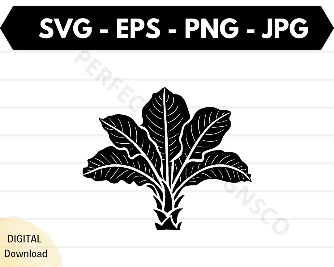 Cabbage Silhouette Svg File, Cabbage Cutting Svg File for Cricut ...