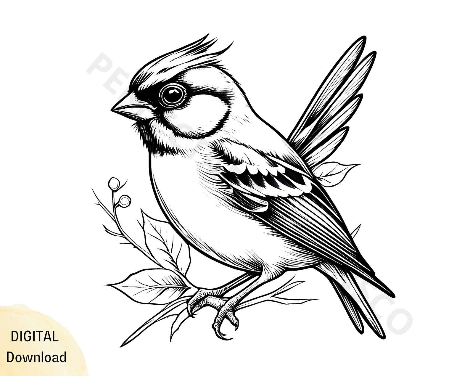 Sparrow Vector Image Clipart, Sparrow Svg Sparrow Cutting File Cricut ...