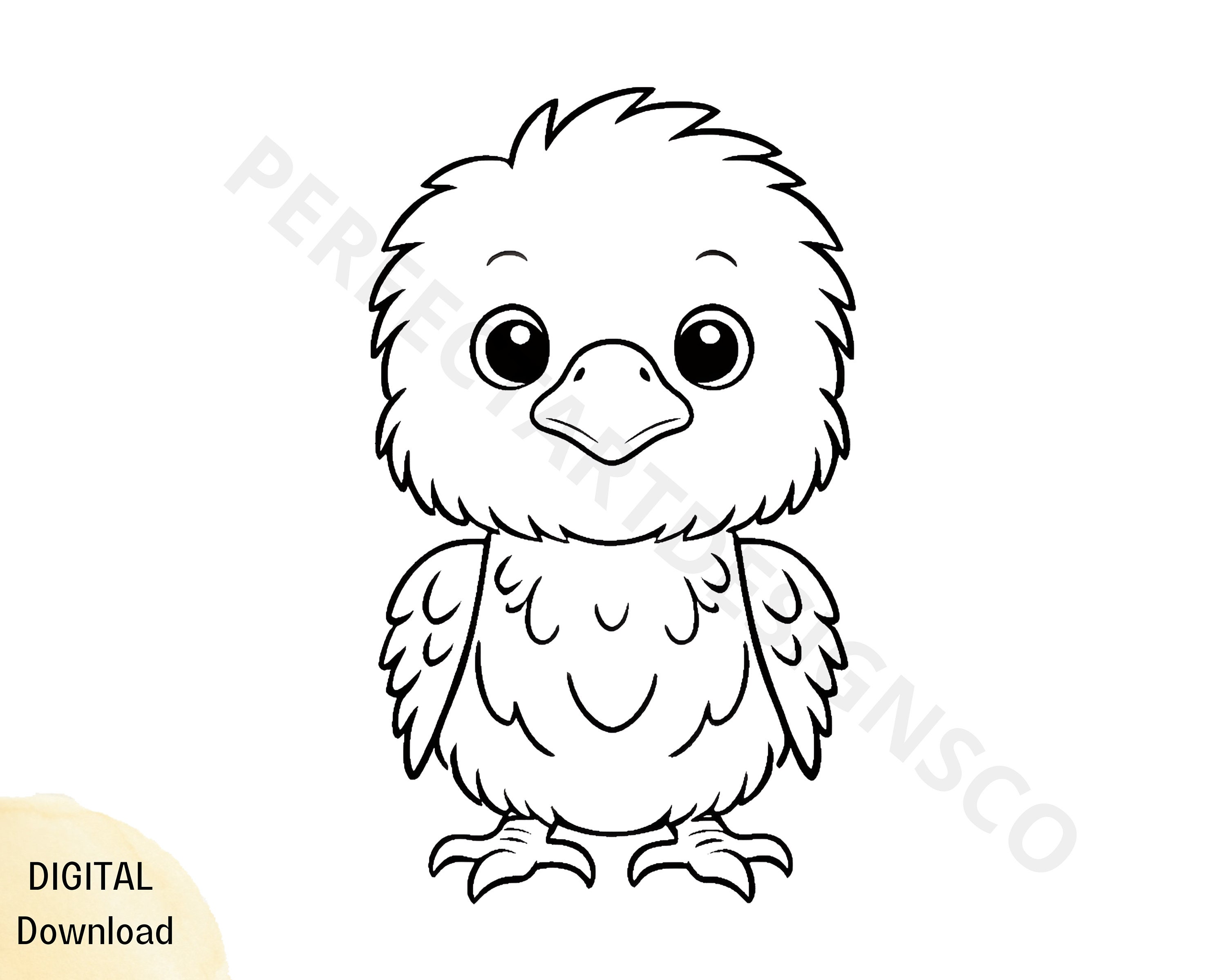 Eagles Baby Shower Invitations