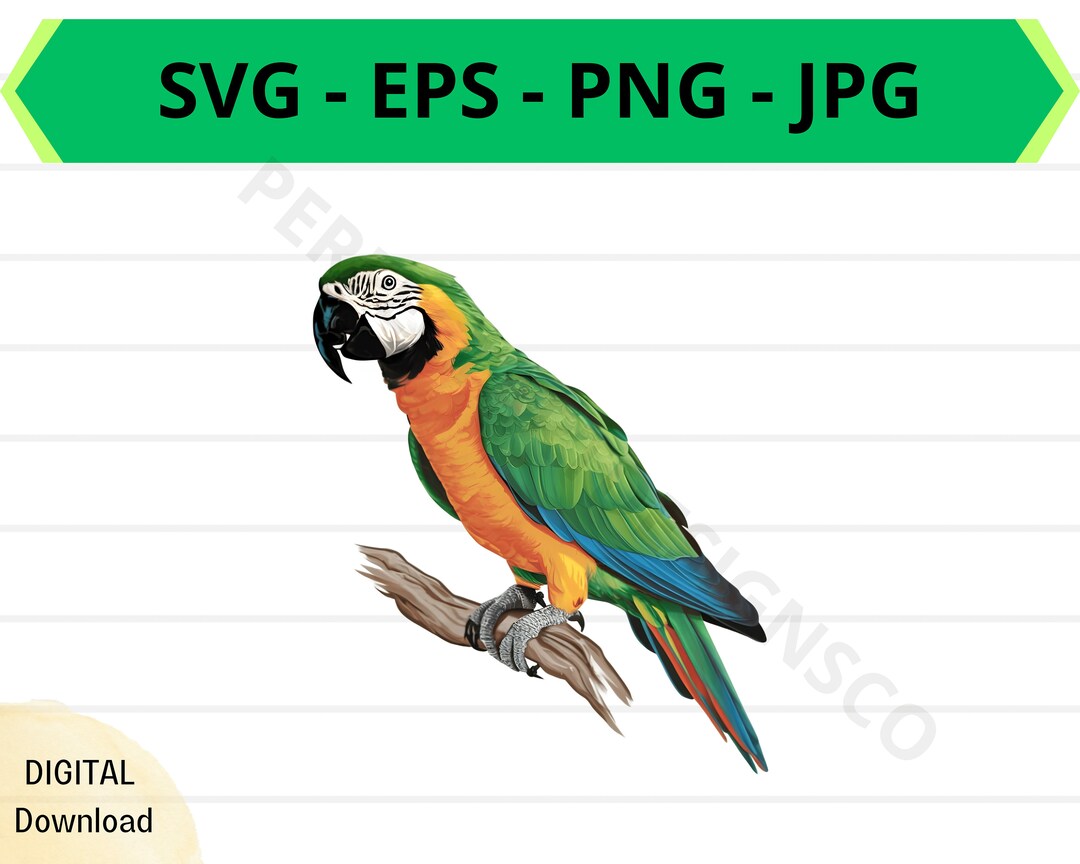 Parrot Svg, Parrot Clipart, Parrot Svg for Shirt, Svg File for Cricut ...
