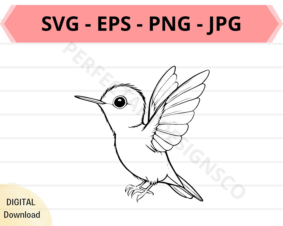 Cute Hummingbird Svg File, Hummingbird Outline Svg, Hummingbird Clipart ...