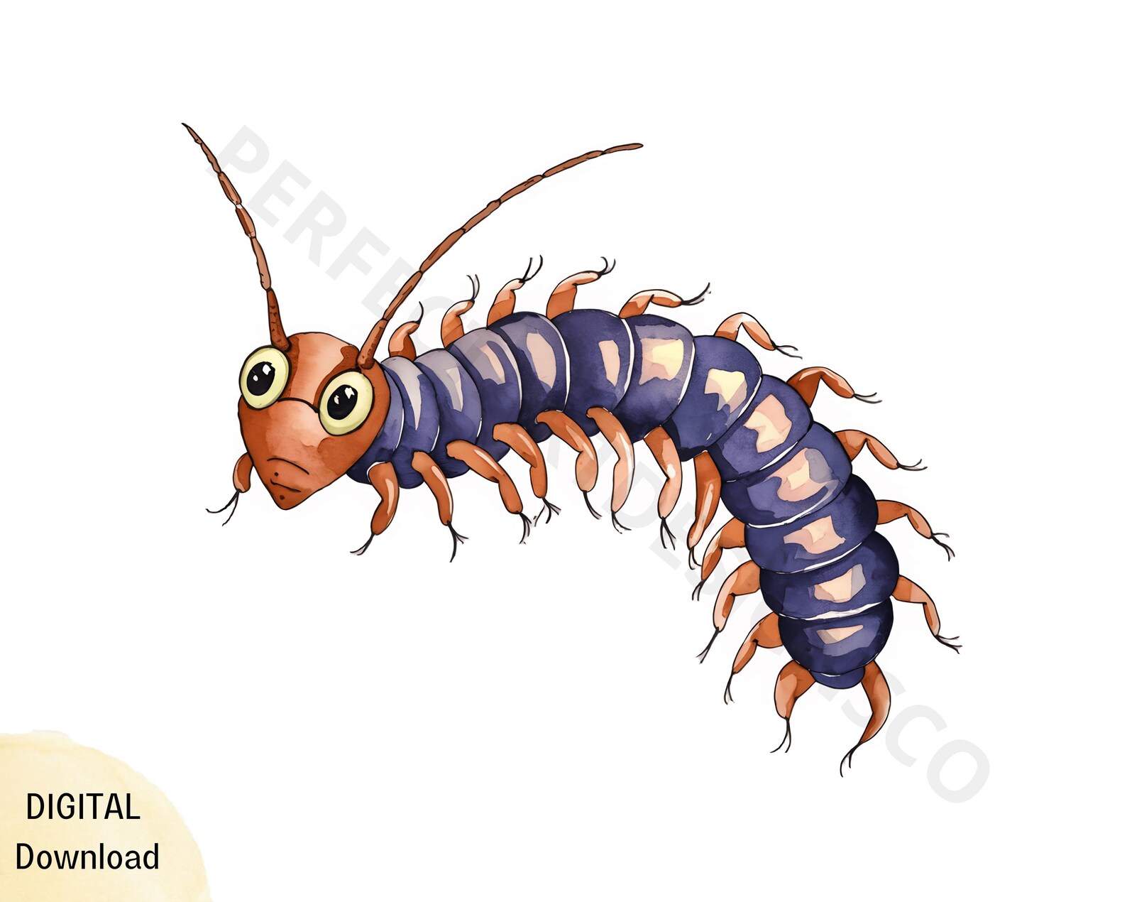 Centipede Watercolor Clipart, Centipede Watercolor Png Transparent ...
