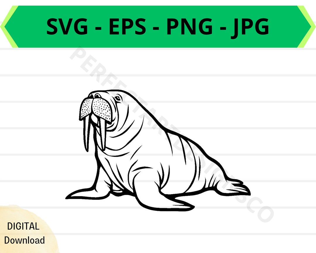 Walrus Outline Svg, Walrus Clipart, Walrus Svg for Shirt, Svg File for ...