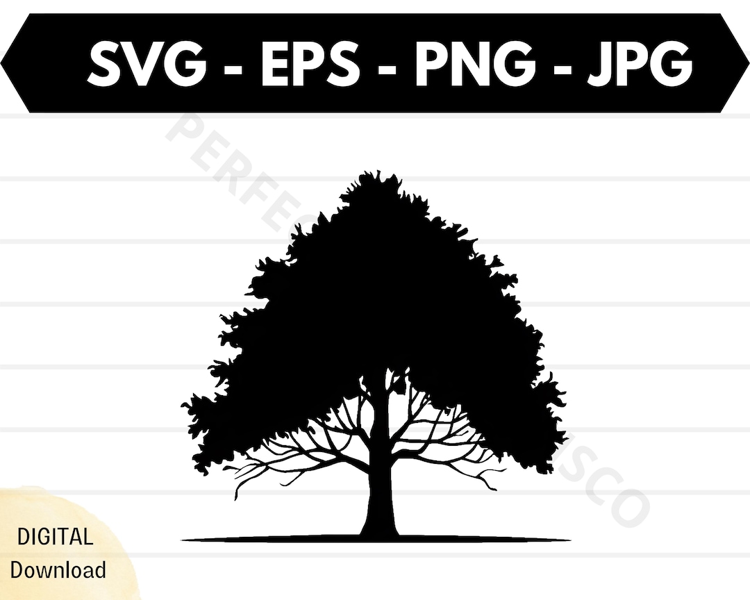 Beech Tree Silhouette Svg File, Beech Tree Cutting Svg File for Cricut ...