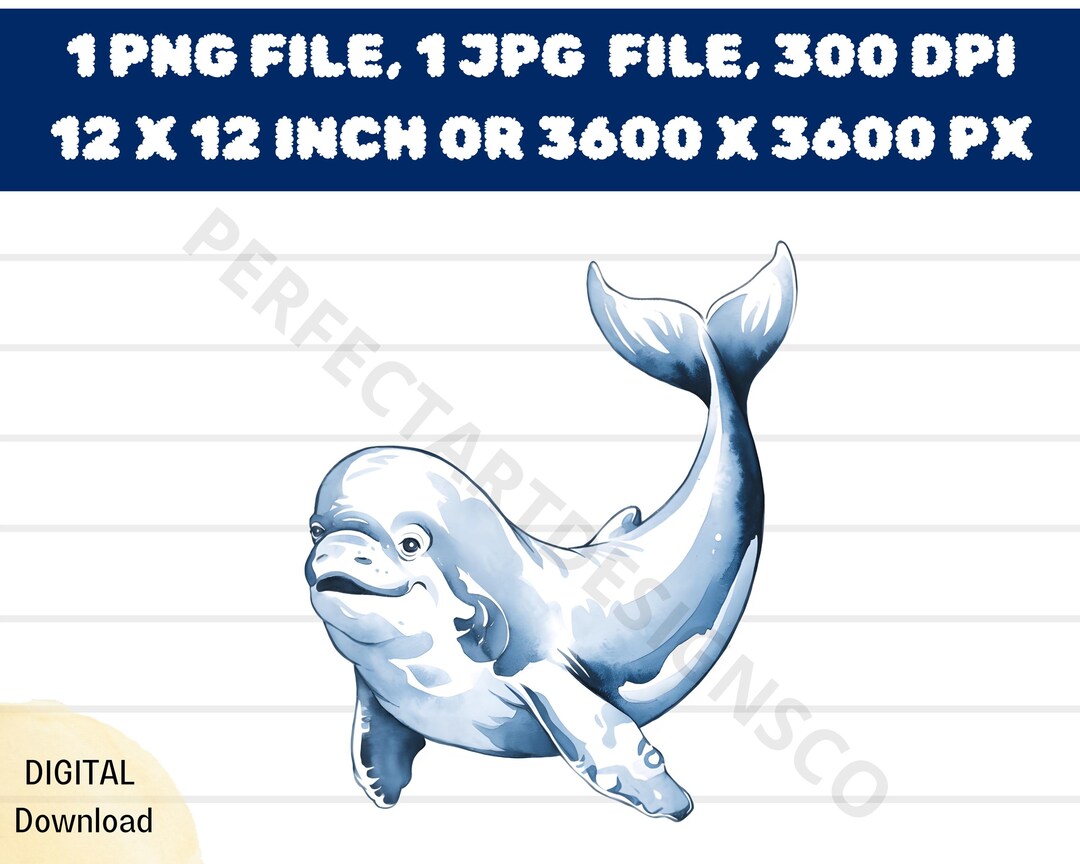 Beluga Whale Watercolor Png Printable Download, Beluga Whale High ...