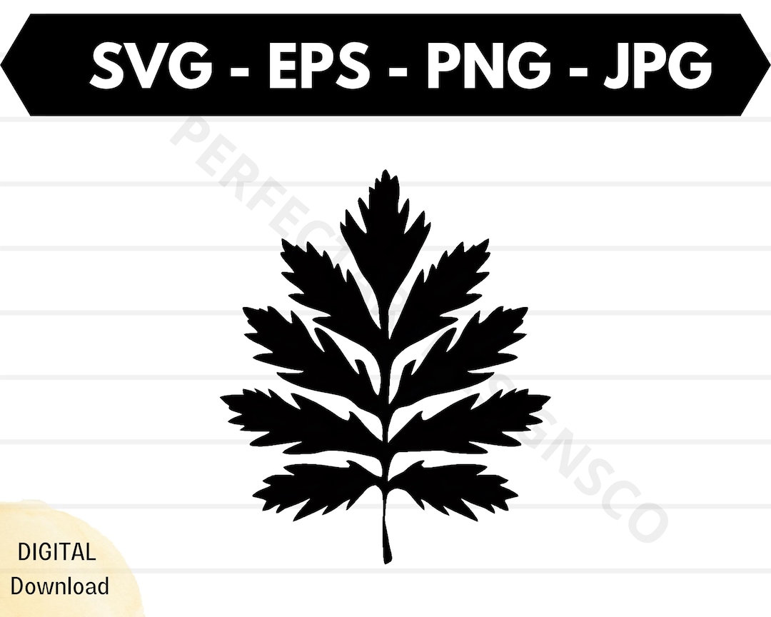 Cedar Leaf Silhouette Svg File, Cedar Leaf Cutting Svg File for Cricut ...