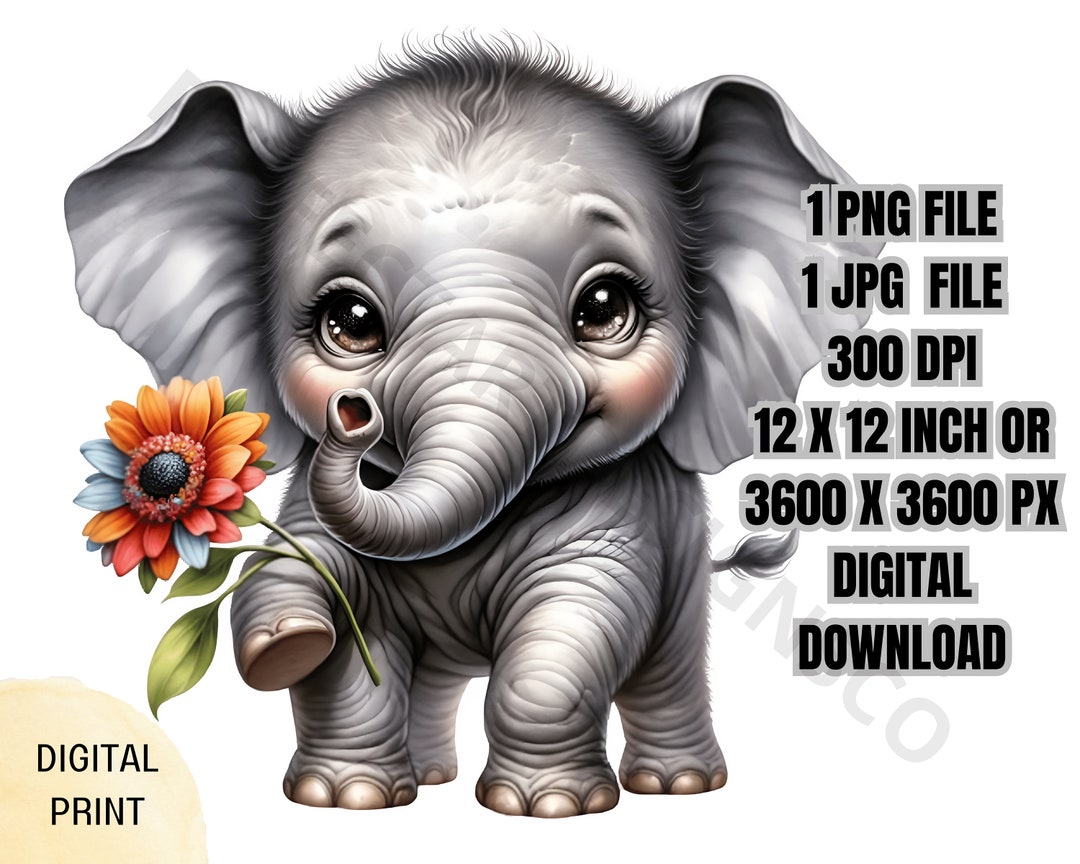 Cute Baby Elephant Holding a Flower Watercolor Clipart Png Image ...
