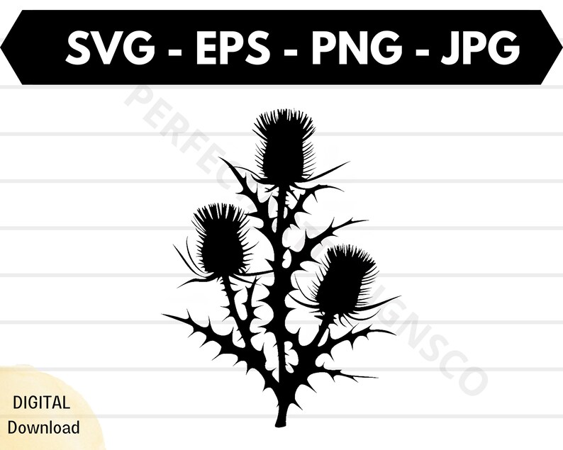 Thistle Silhouette Svg, Thistle Outline, Thistle Cricut, Thistle ...