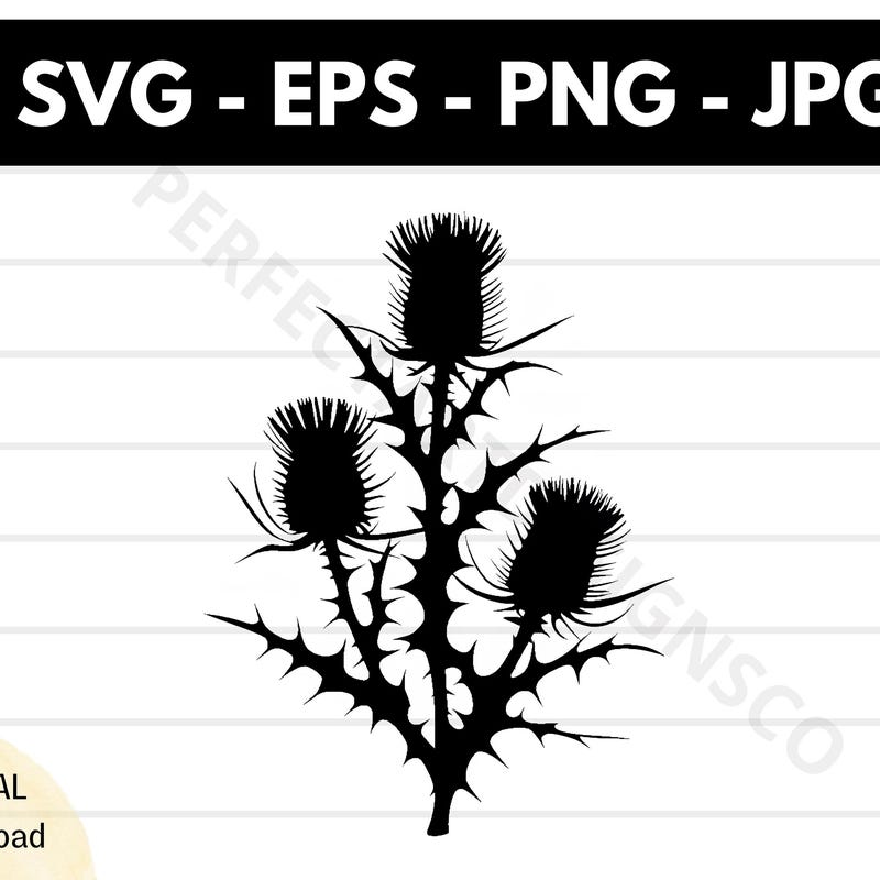 Thistle Svg - Etsy