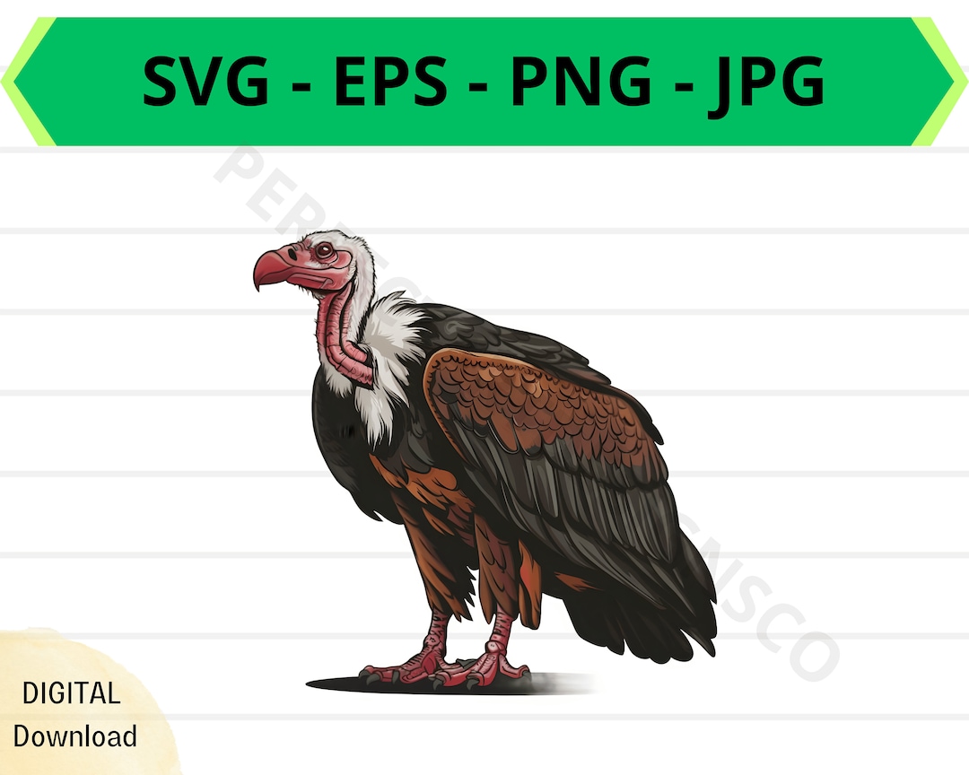 Vulture Svg, Vulture Clipart, Vulture Svg for Shirt, Svg File for ...