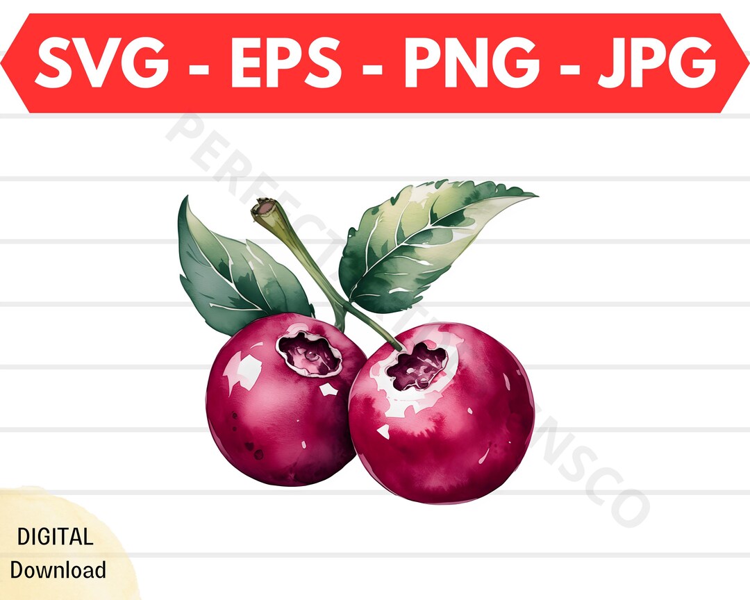 Cranberry Svg File for Cricut, Silhouette, Cranberry Clip Art ...