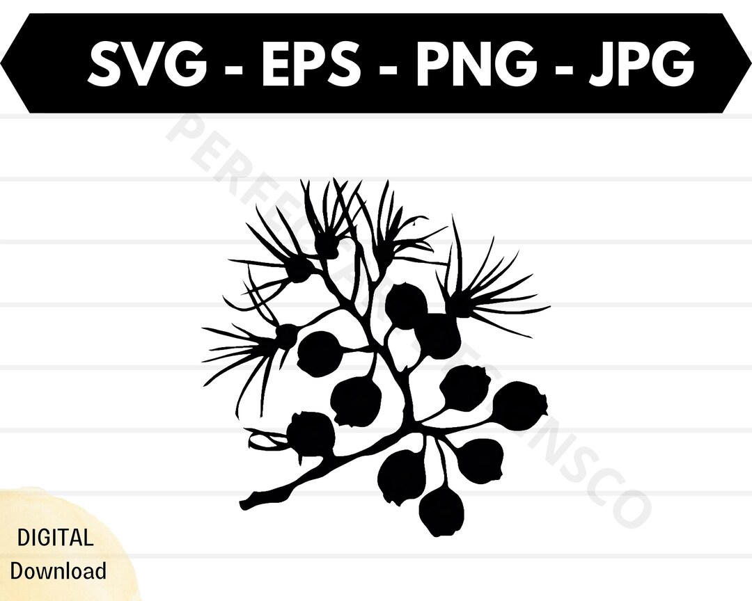 Juniper Berry Silhouette Svg File, Juniper Berry Cutting Svg File for ...