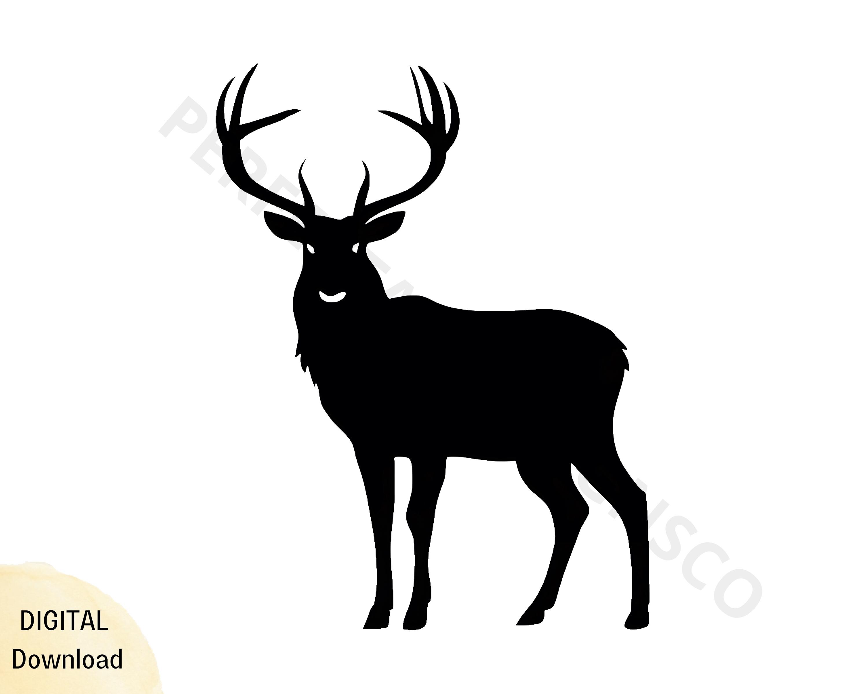 Buck Silhouette Svg File, Buck Cutting Svg File for Cricut, Buck ...