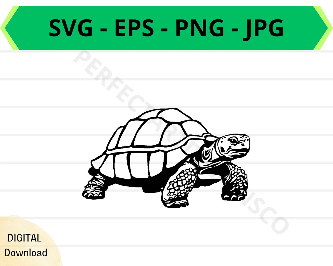 Tortoise Outline Svg, Tortoise Clipart, Tortoise Svg for Shirt, Svg ...