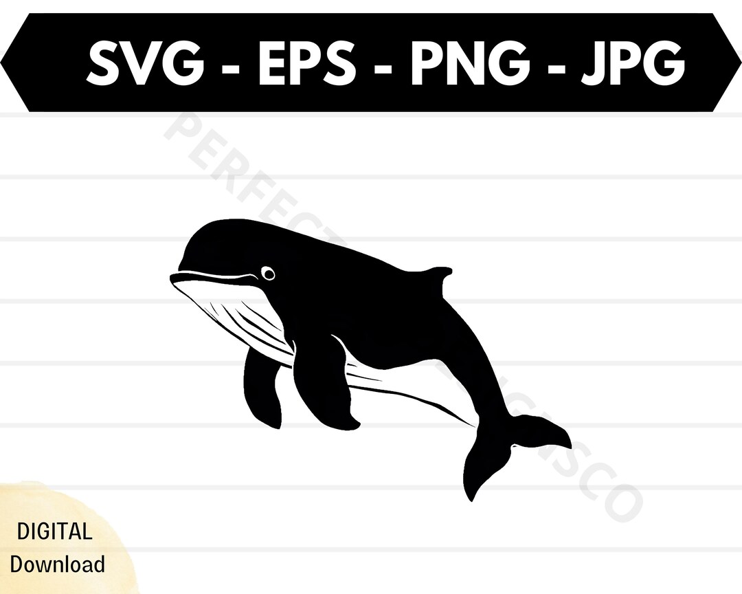 Beluga Whale Silhouette Svg File, Beluga Whale Cutting Svg File Cricut ...