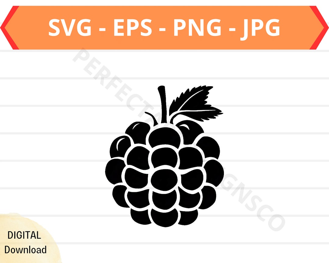 Blackberry Outline Svg, Blackberry Fruit Clipart, Blackberry Svg for ...