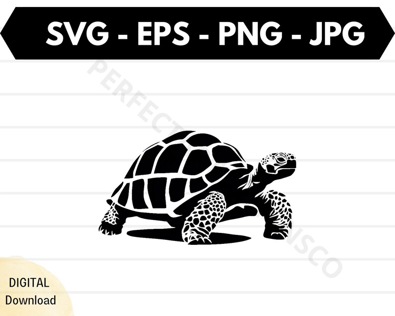 Galapagos Tortoise Silhouette Svg File, Tortoise Cutting Svg File for ...