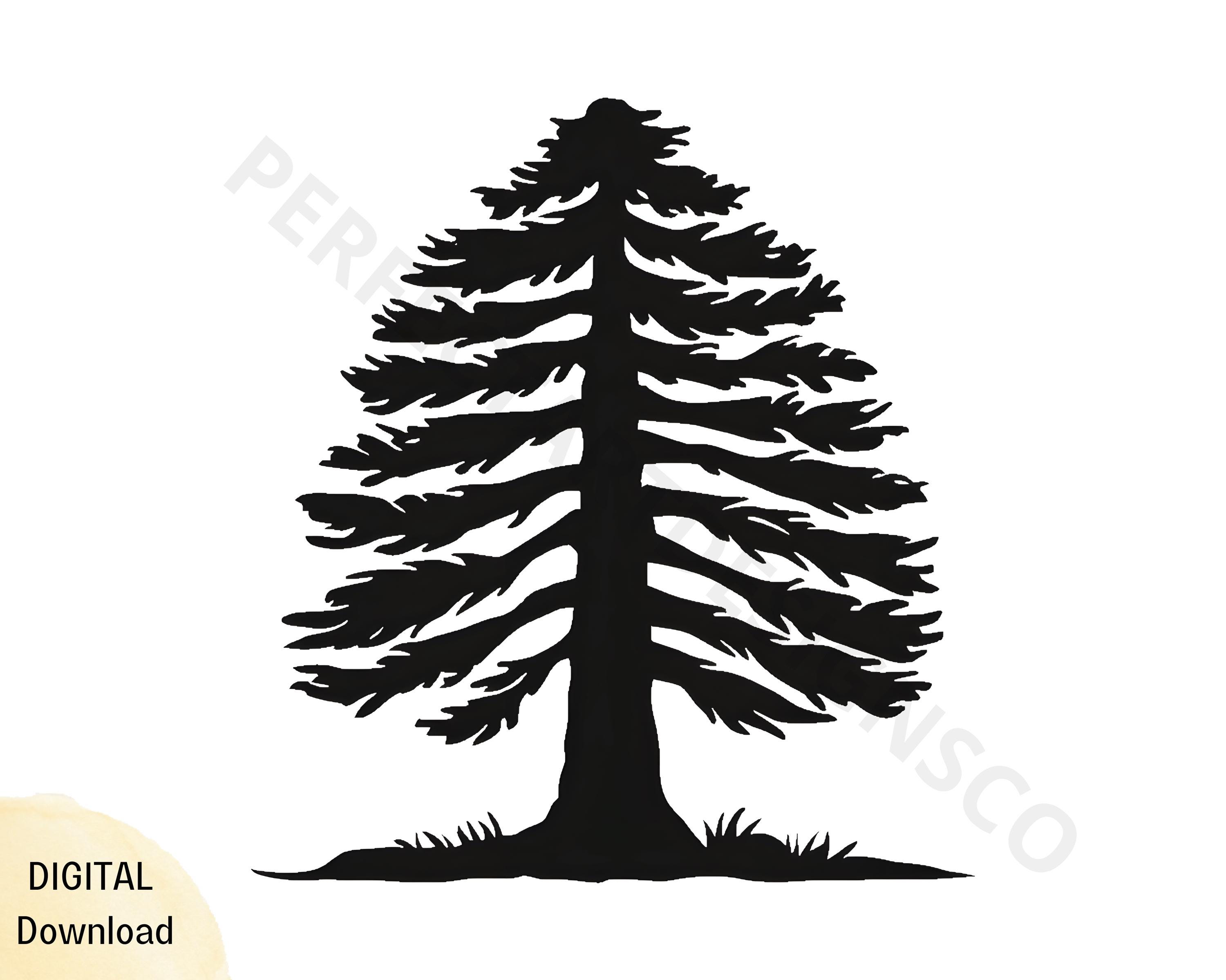 Coastal Redwood Silhouette Svg File, Coastal Redwood Cutting Svg File ...