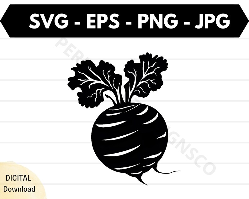 Turnip Silhouette Svg File, Turnip Cutting Svg File for Cricut, Turnip ...
