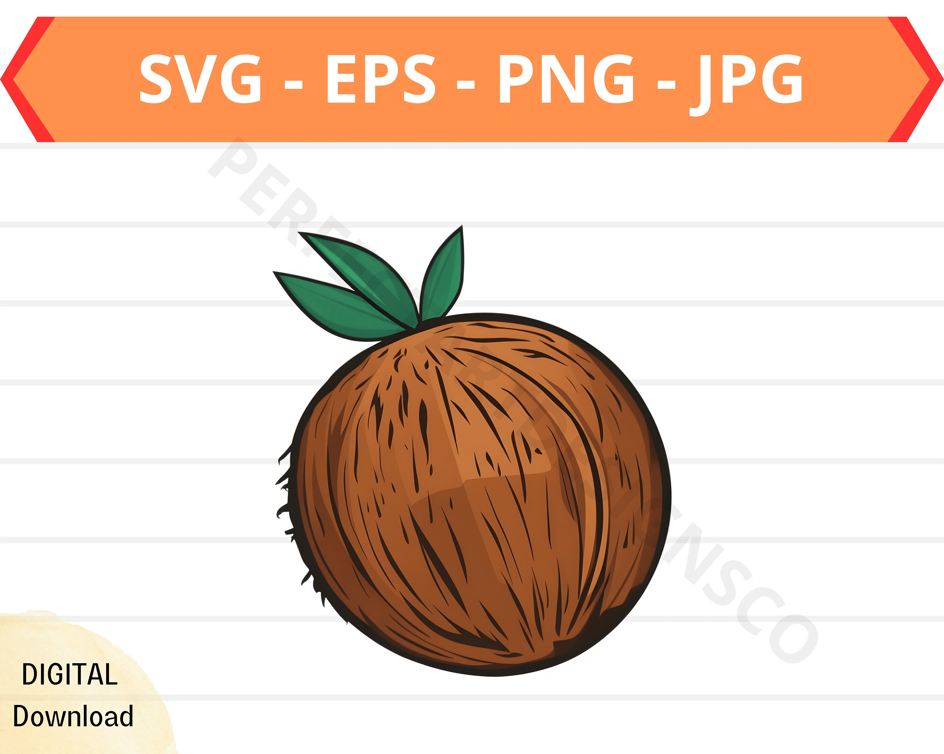 Coconut Svg, Coconut Fruit Clipart, Coconut Svg for Shirt, Svg File for ...
