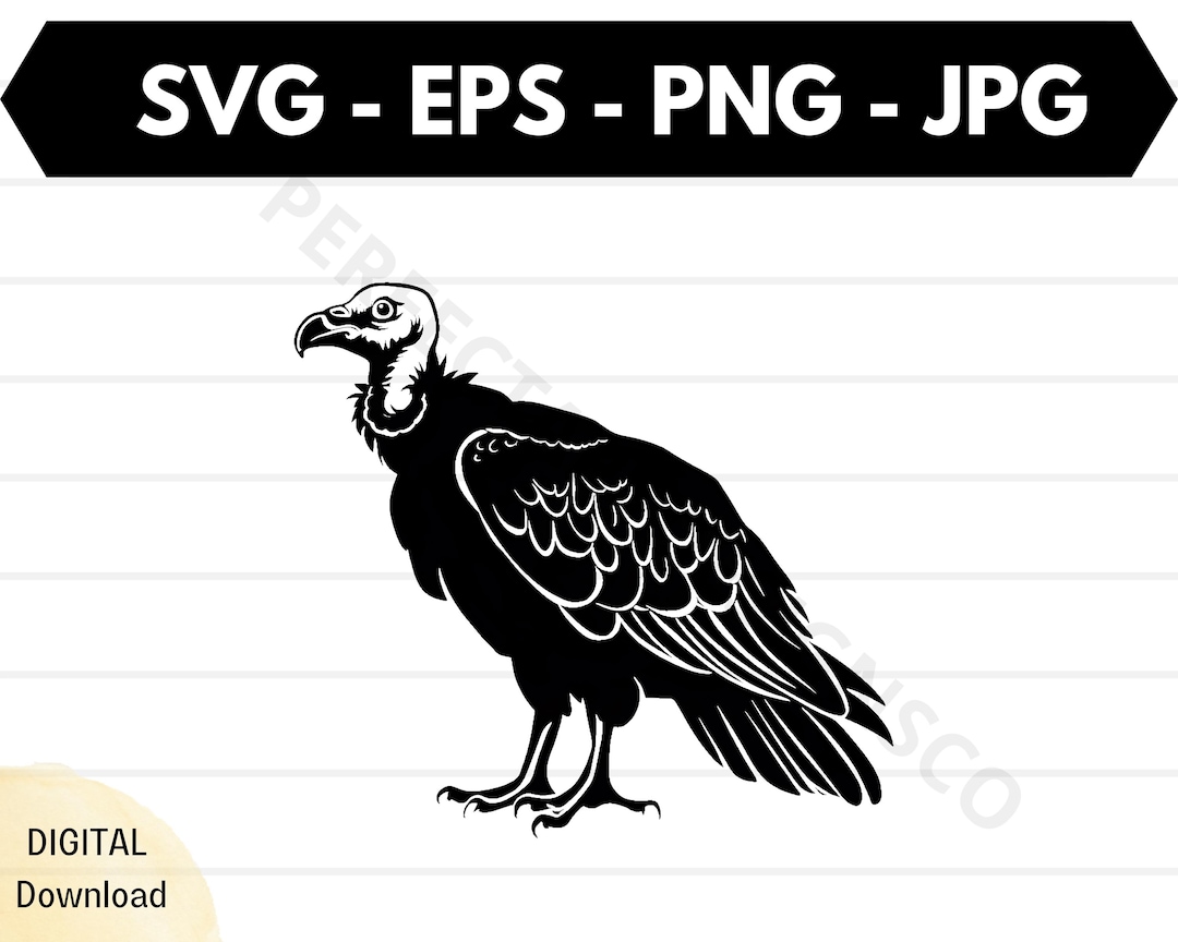 Turkey Vulture Silhouette Svg File, Turkey Vulture Outline Clipart Svg ...
