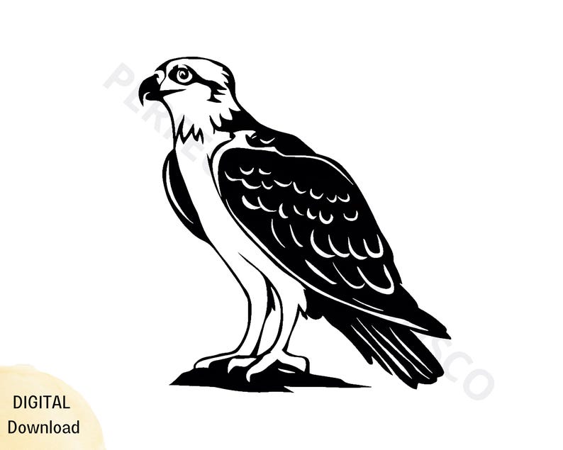 Osprey Silhouette Svg File, Osprey Cutting Svg File for Cricut, Osprey ...