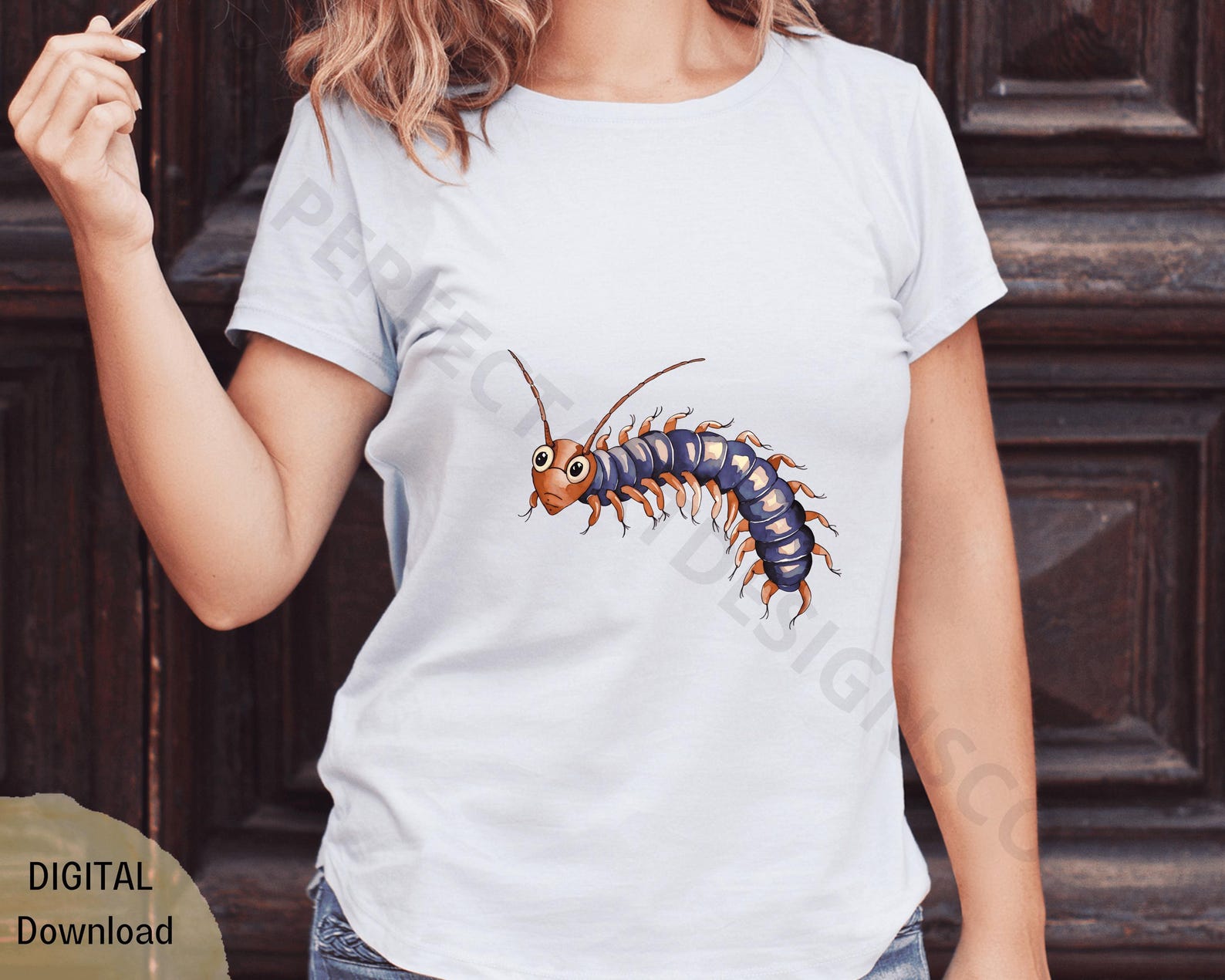Centipede Watercolor Clipart, Centipede Watercolor Png Transparent ...