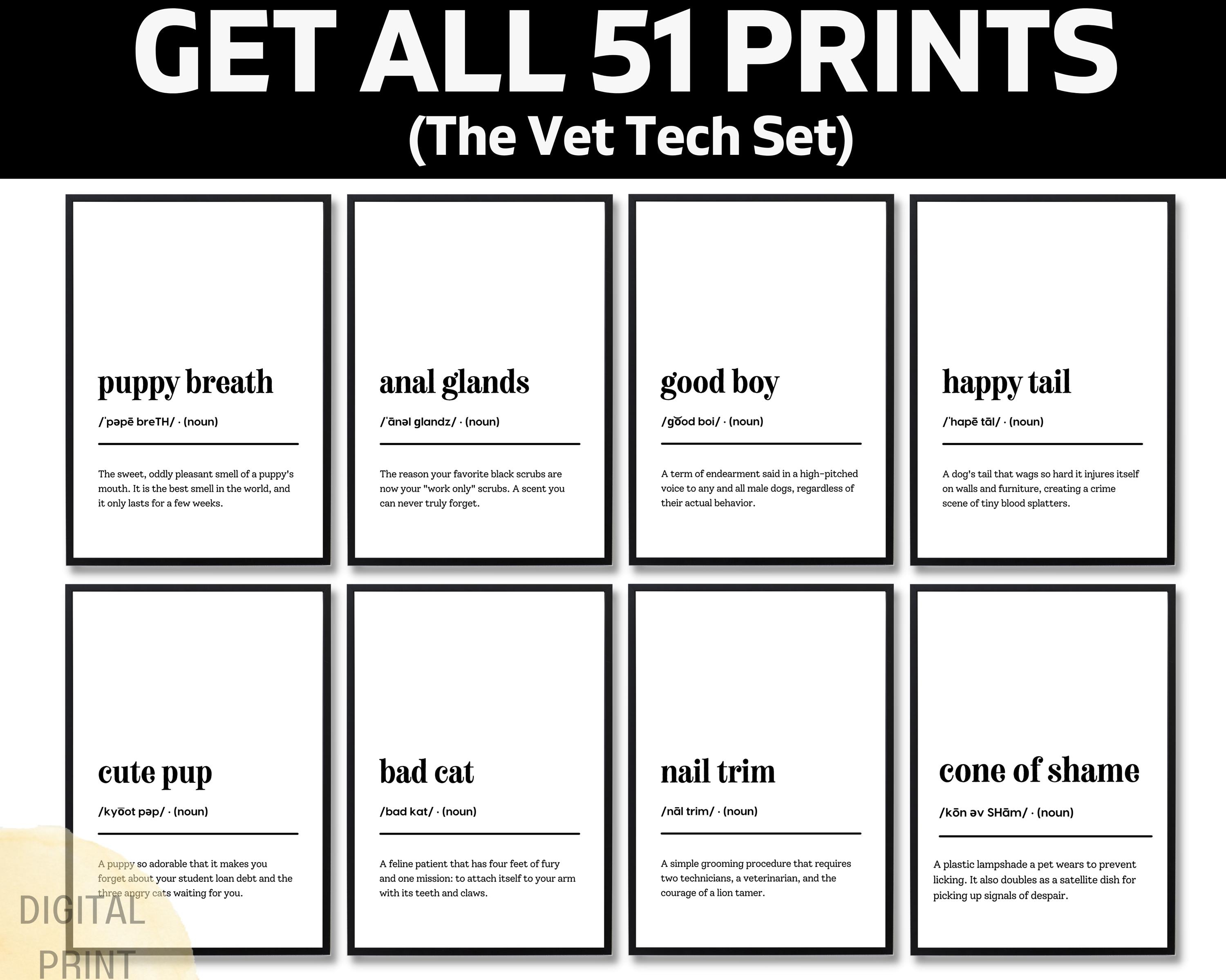 Funny Vet Tech Definition Print, Sarcastic Veterinary Humor, Humorous ...