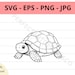 Cute Tortoise Svg File, Baby Tortoise Outline Svg, Tortoise Clipart Svg ...