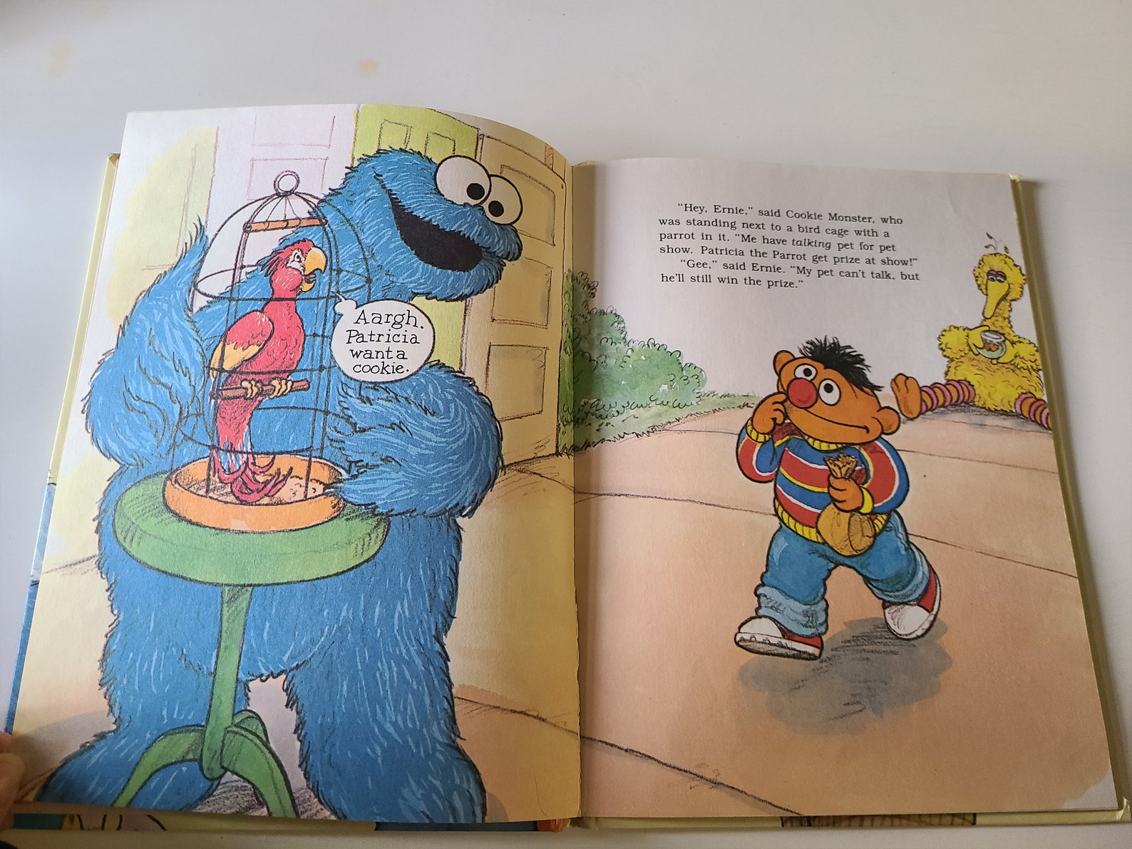 1980 the Sesame Street Pet Show Book - Etsy