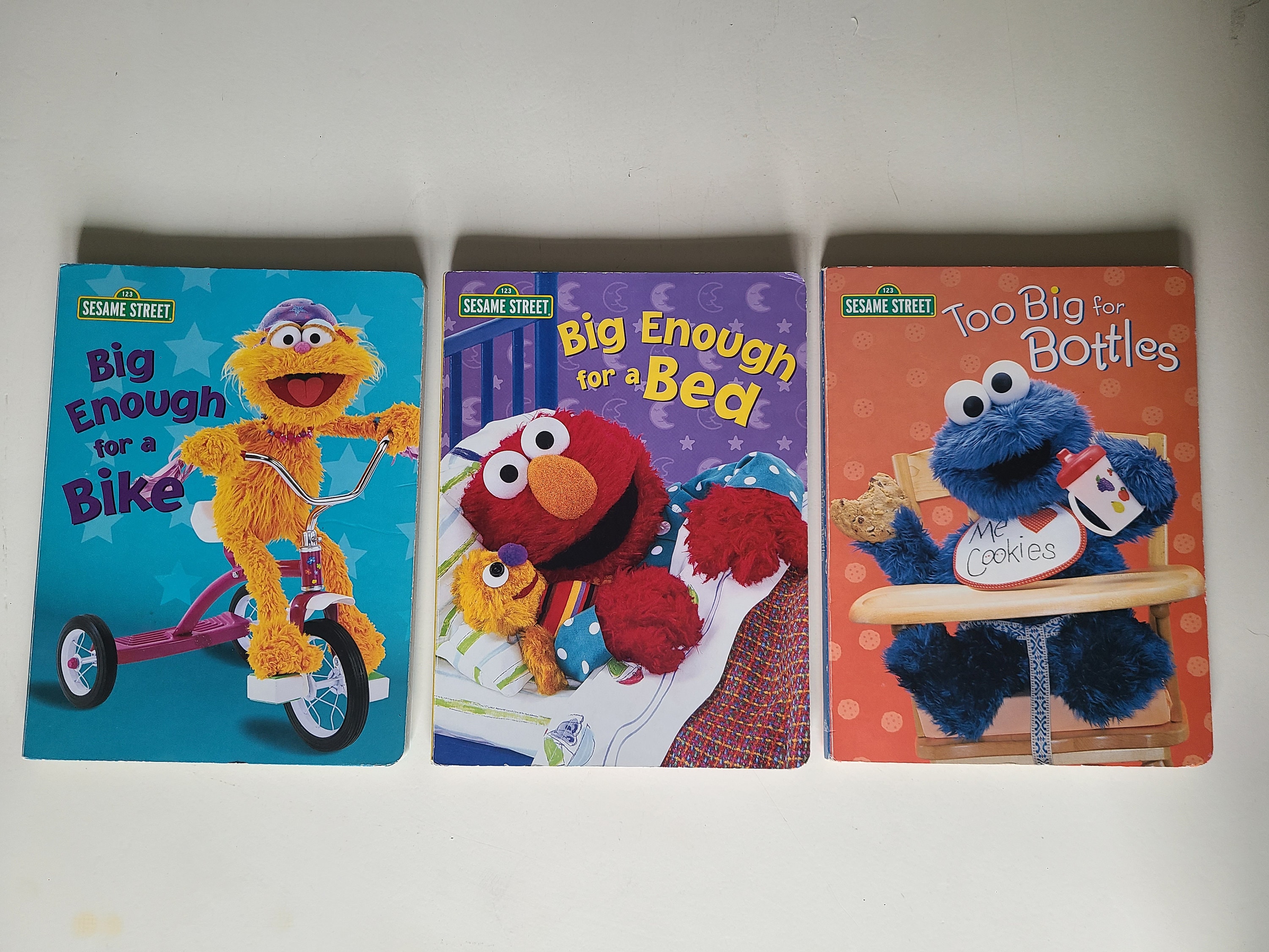 2002 Sesame Street Big Enough Books - Etsy