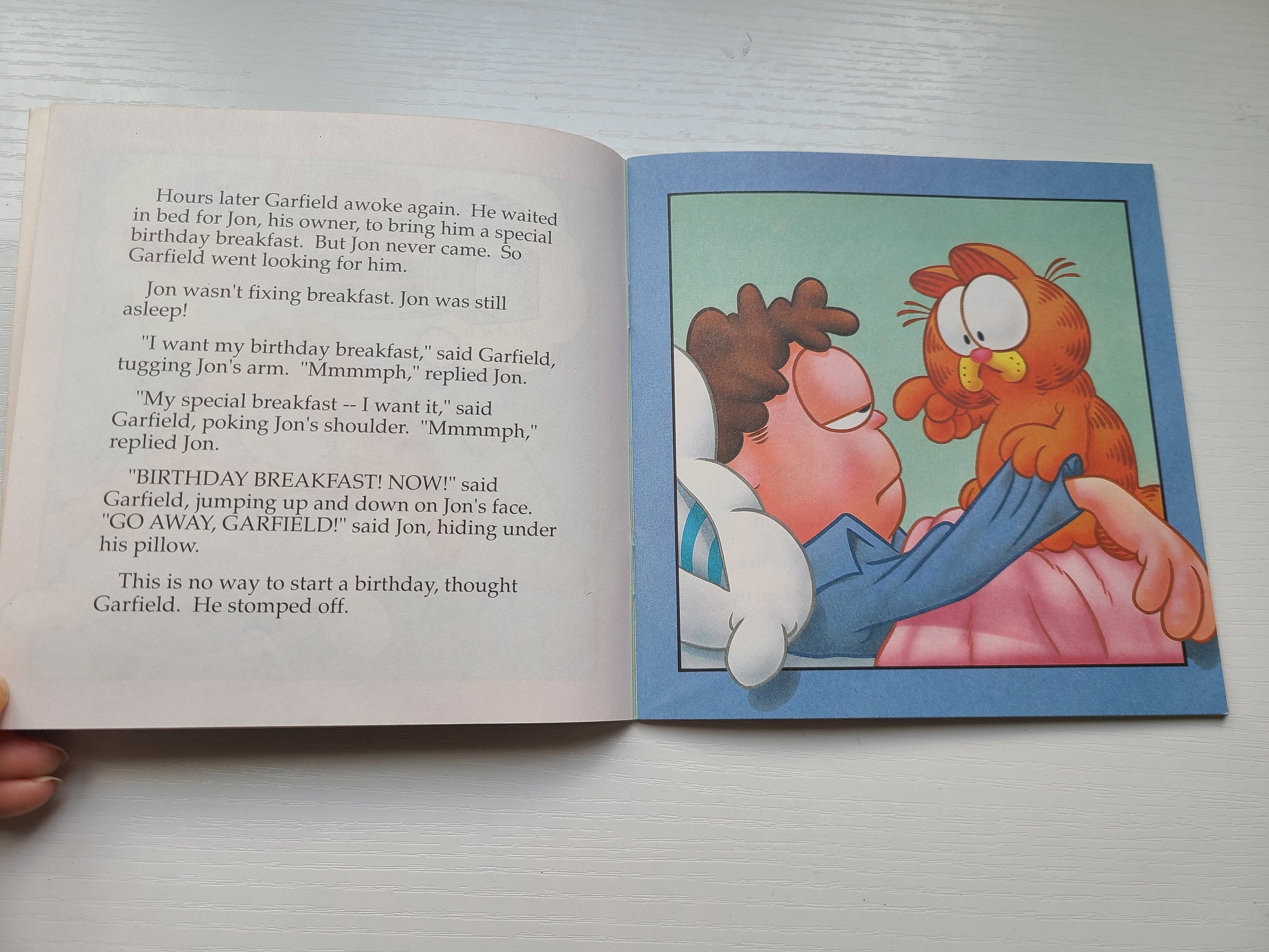 1987 Garfield's Birthday Surprise Book - Etsy