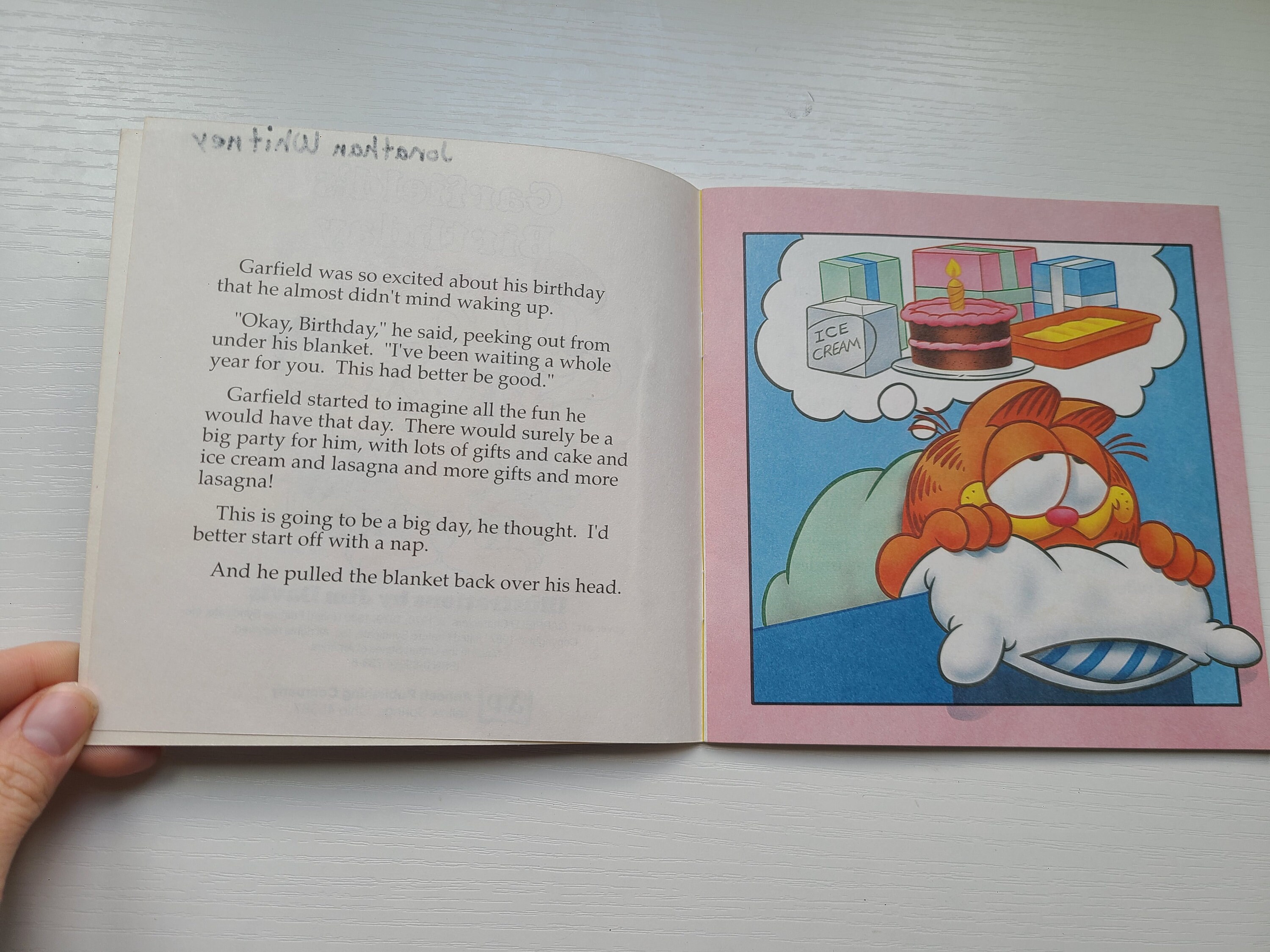 1987 Garfield's Birthday Surprise Book - Etsy