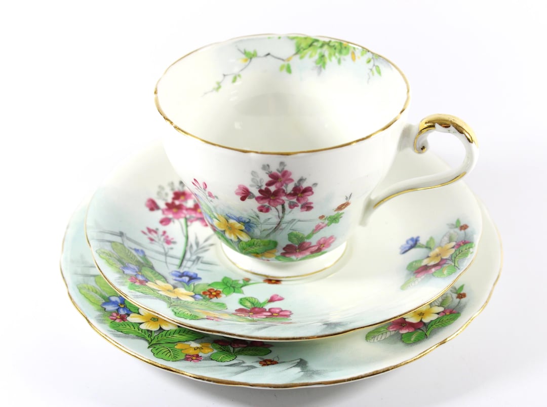 Aysnley Vintage Spring Flower Tea Trio / Springtime Teacup - Etsy