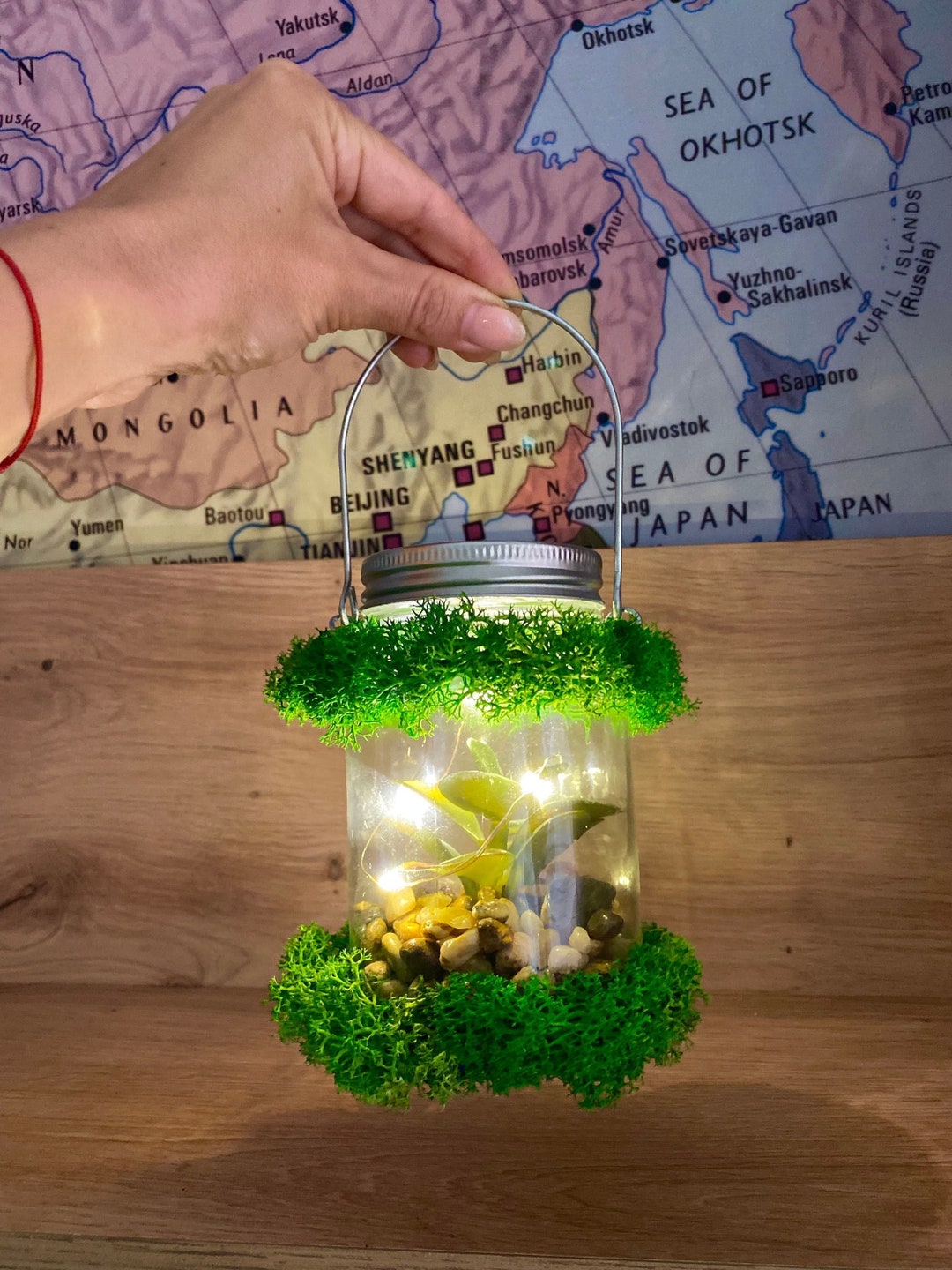 Mason Jar Terrarium Lamp, Botanical Forest Decor (3.14x5.11 Inches) - Etsy