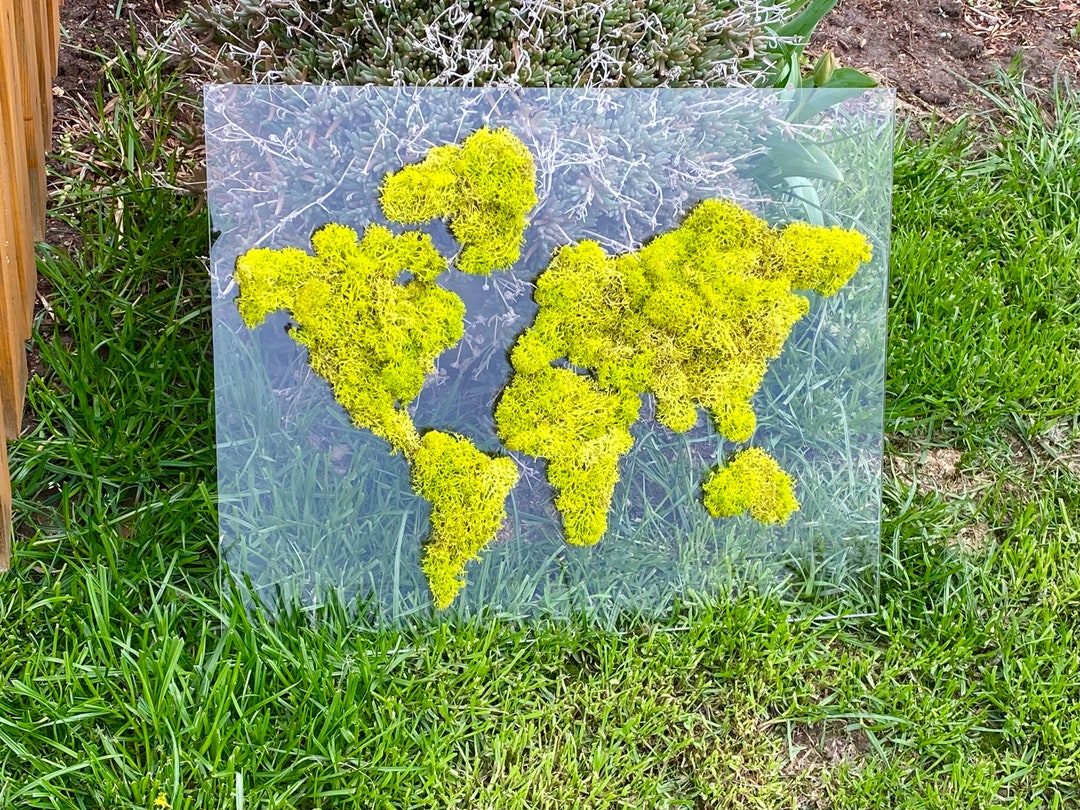 Hanging Preserved Moss World Map, Clear Base, Lemon Green Raindeer Moss ...