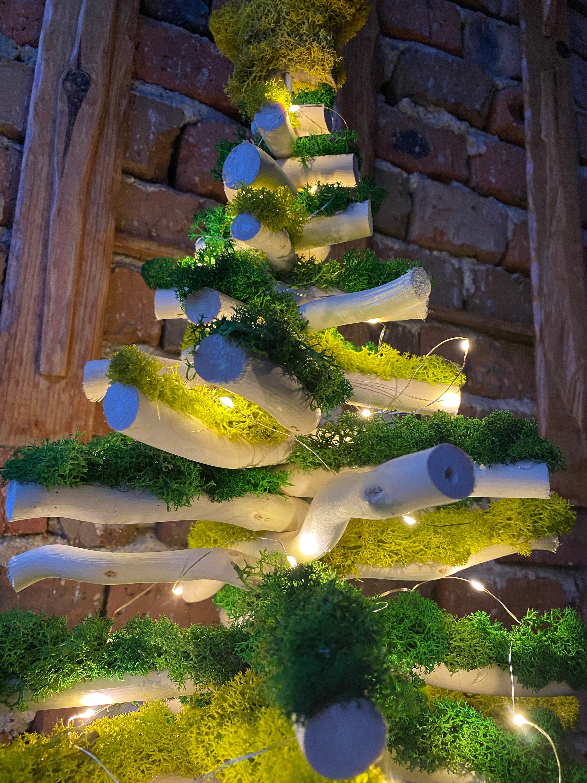 Preseved Moss Tabletop Christmas Tree With LED Light, Minimal Care Live ...