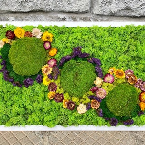 The Green Wall in Your Home Natural Green Moss Ball Stabilized Moss ...