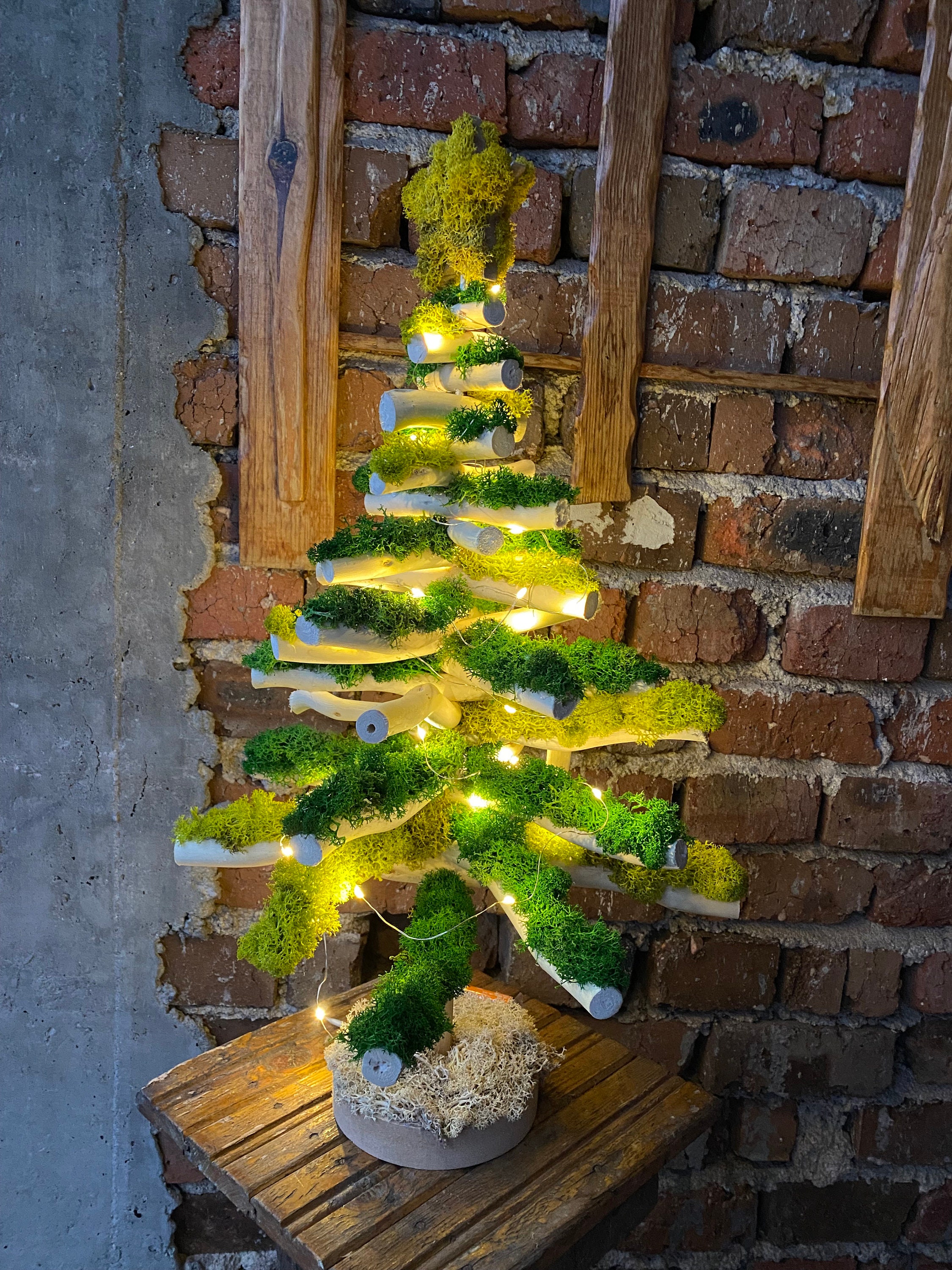 Preseved Moss Tabletop Christmas Tree With LED Light, Minimal Care Live ...